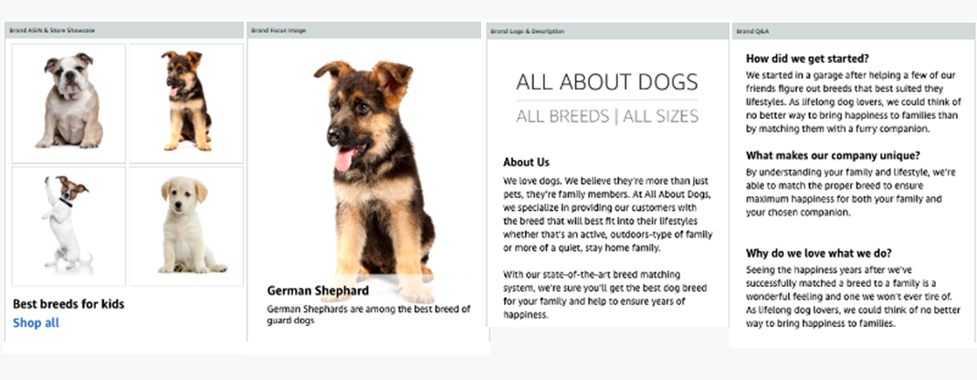 What is Amazon A+ Content Design? Here’s everything you need to know